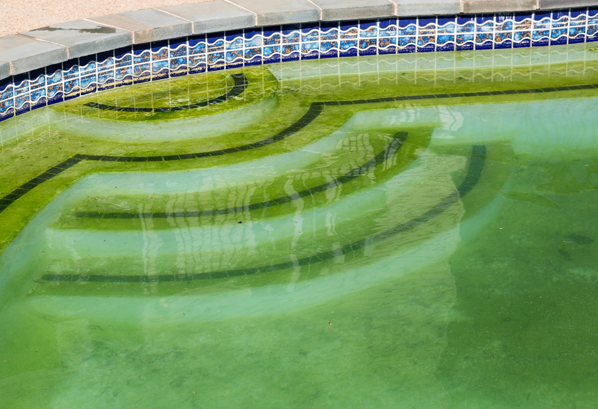 What Does It Mean If I Have Green Algae Growing In My Pool? | Pool Xpert